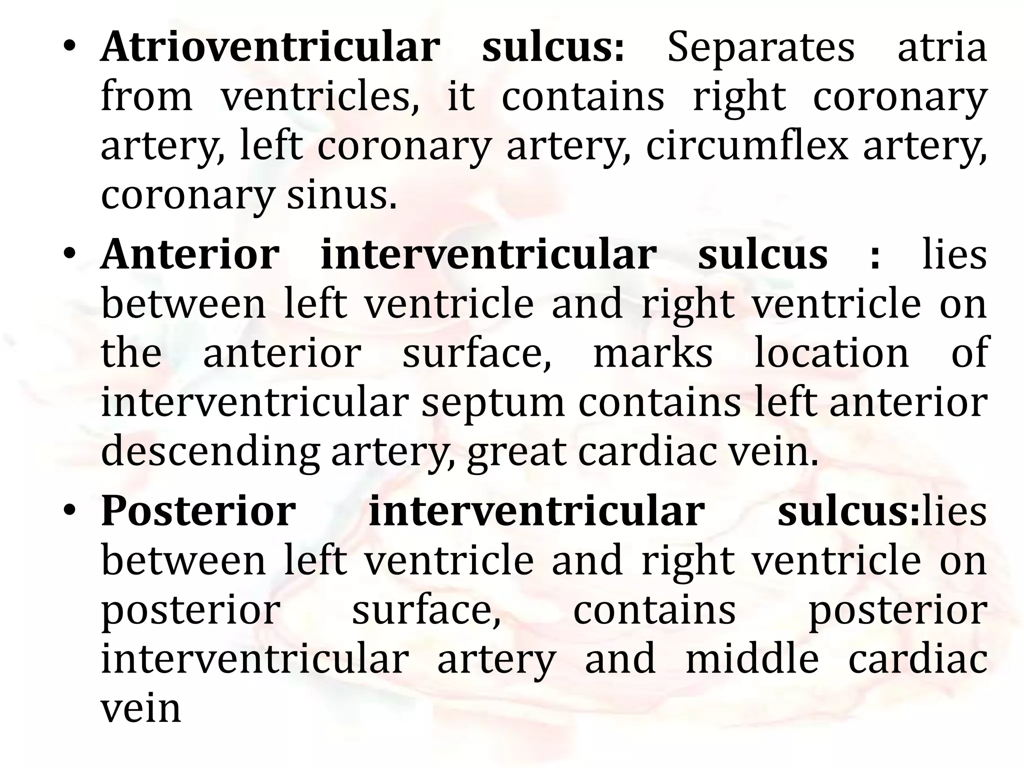 Anatomy of heart | PPSX