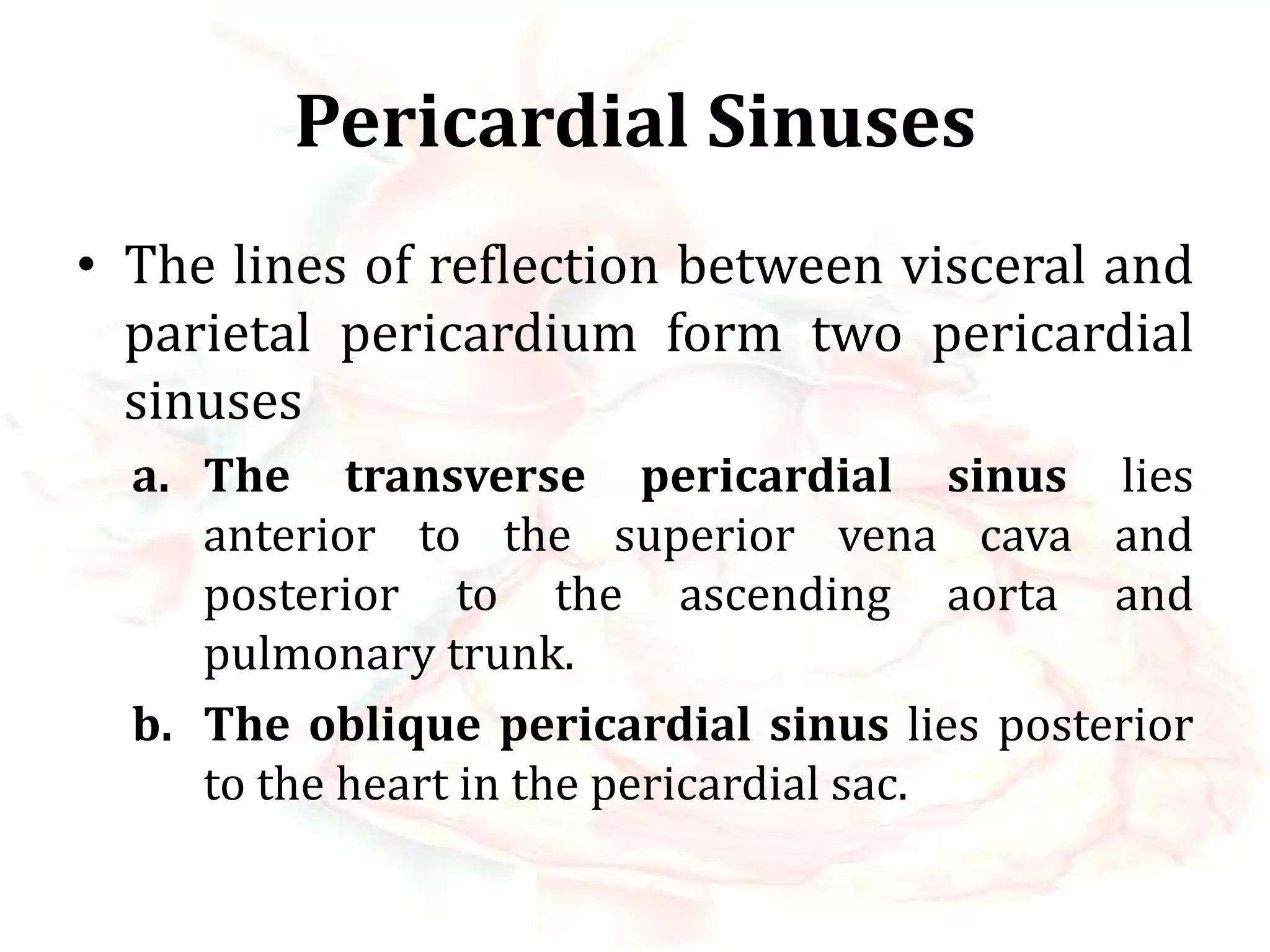 Anatomy of heart | PPSX
