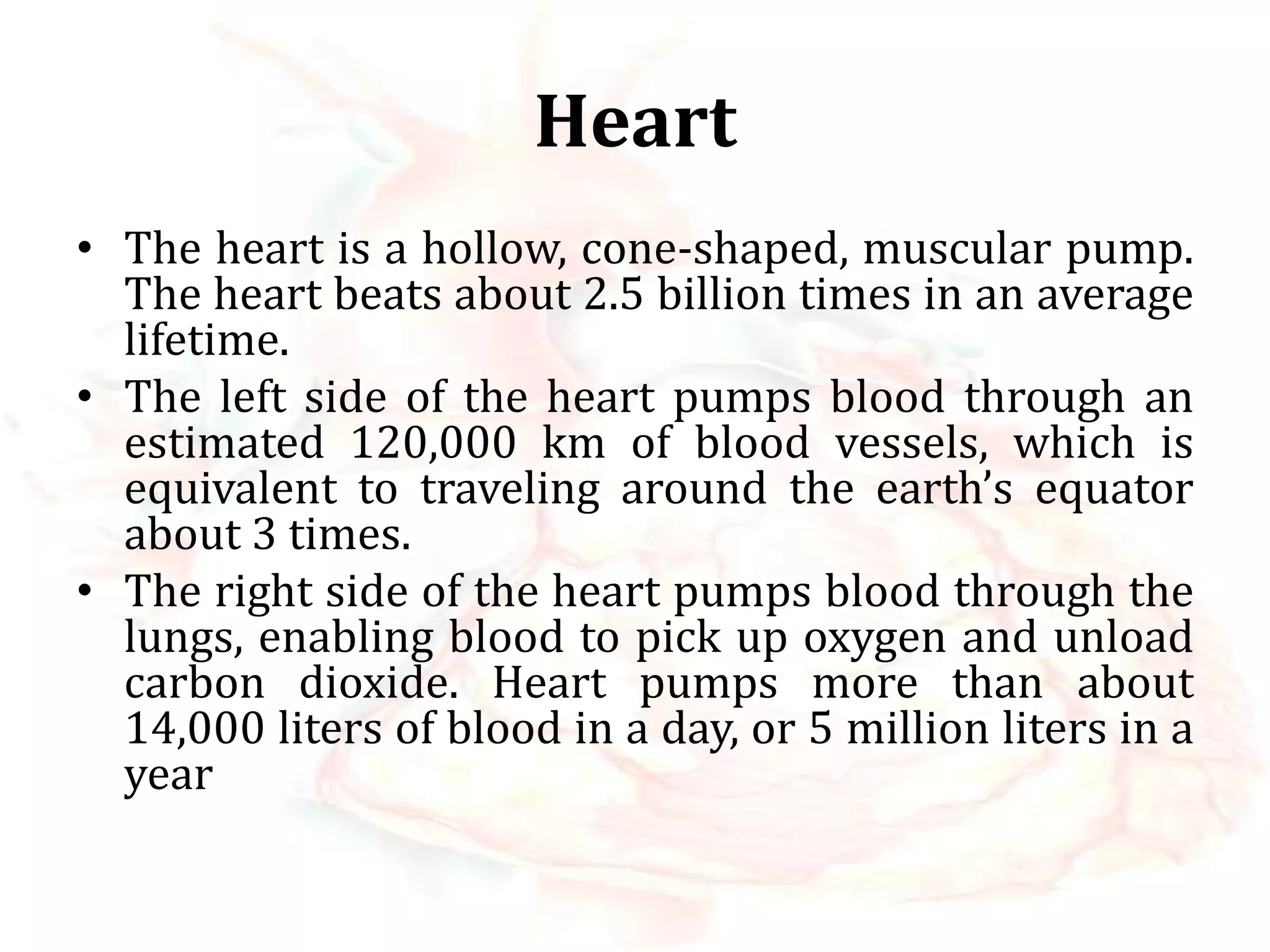 Anatomy of heart | PPSX