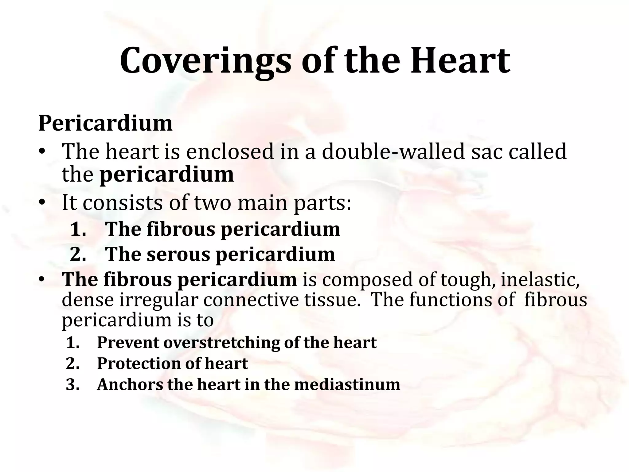 Anatomy of heart | PPSX