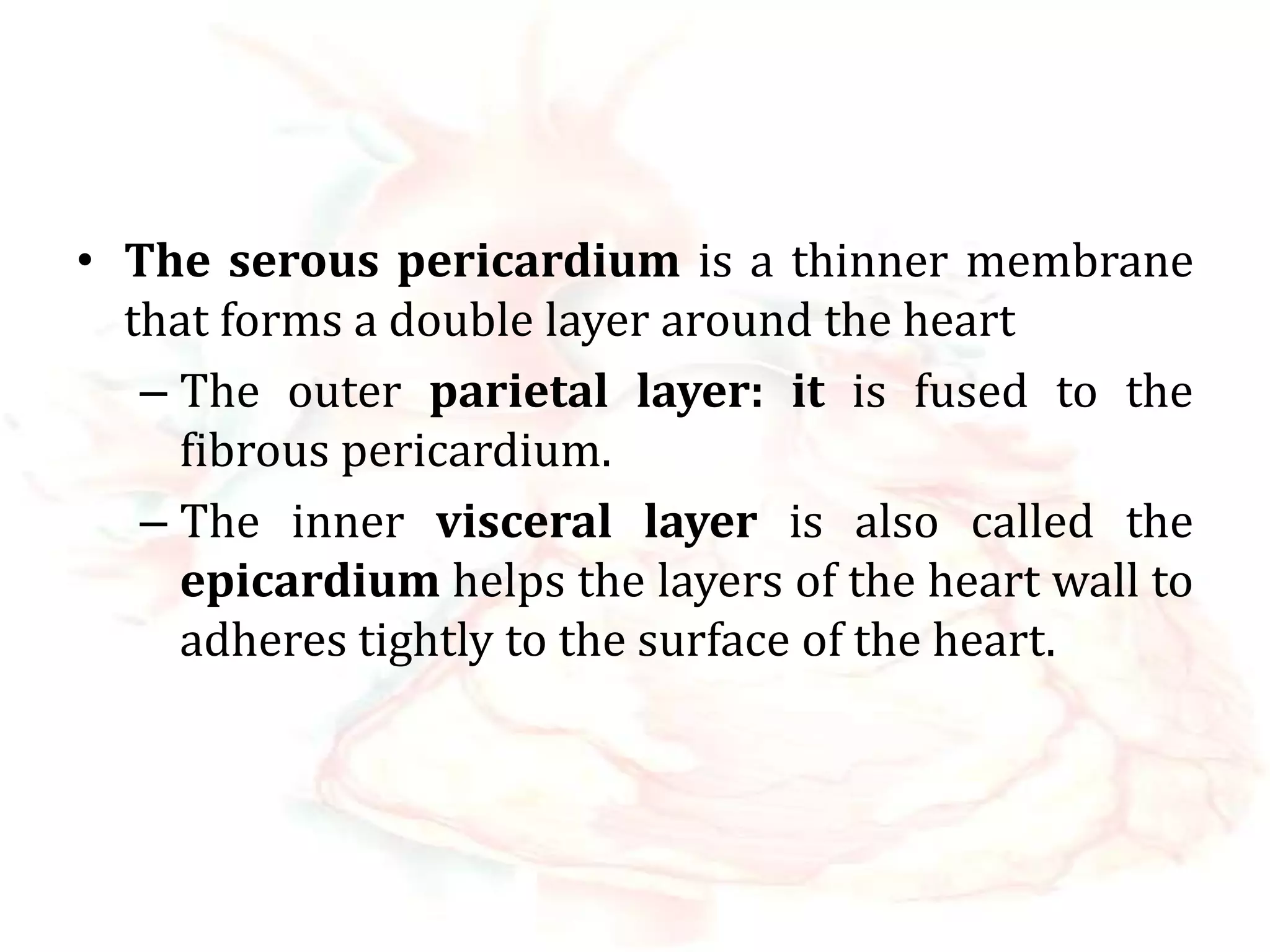 Anatomy of heart | PPSX