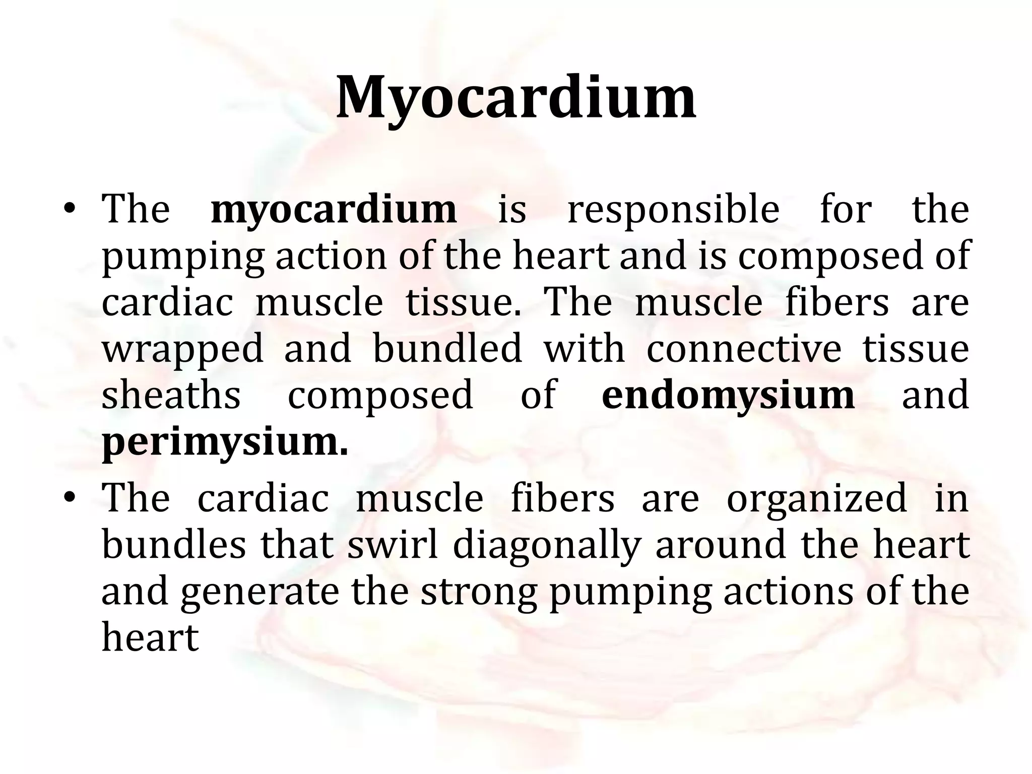 Anatomy of heart | PPSX