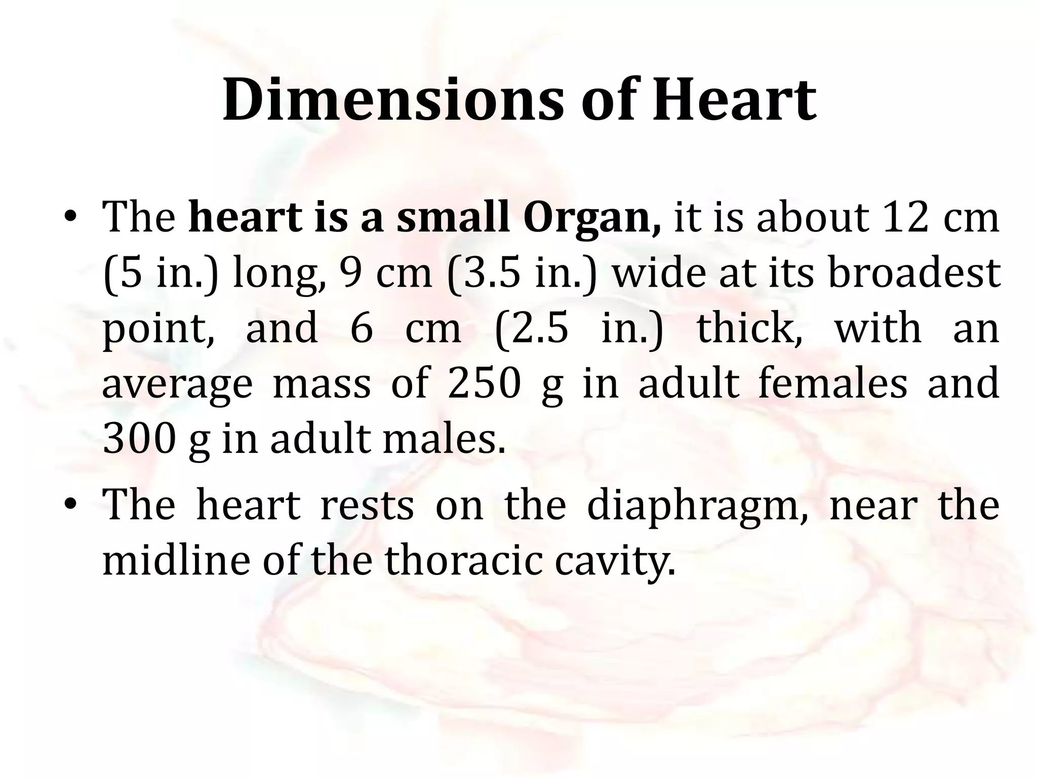 Anatomy of heart | PPSX