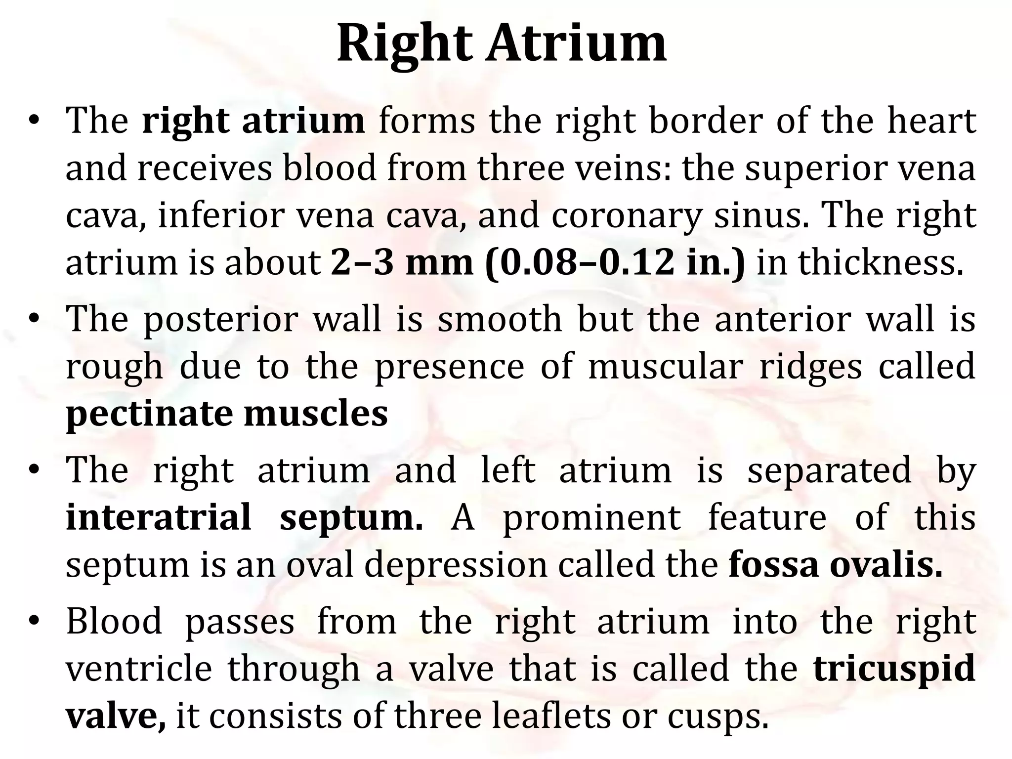 Anatomy of heart | PPSX
