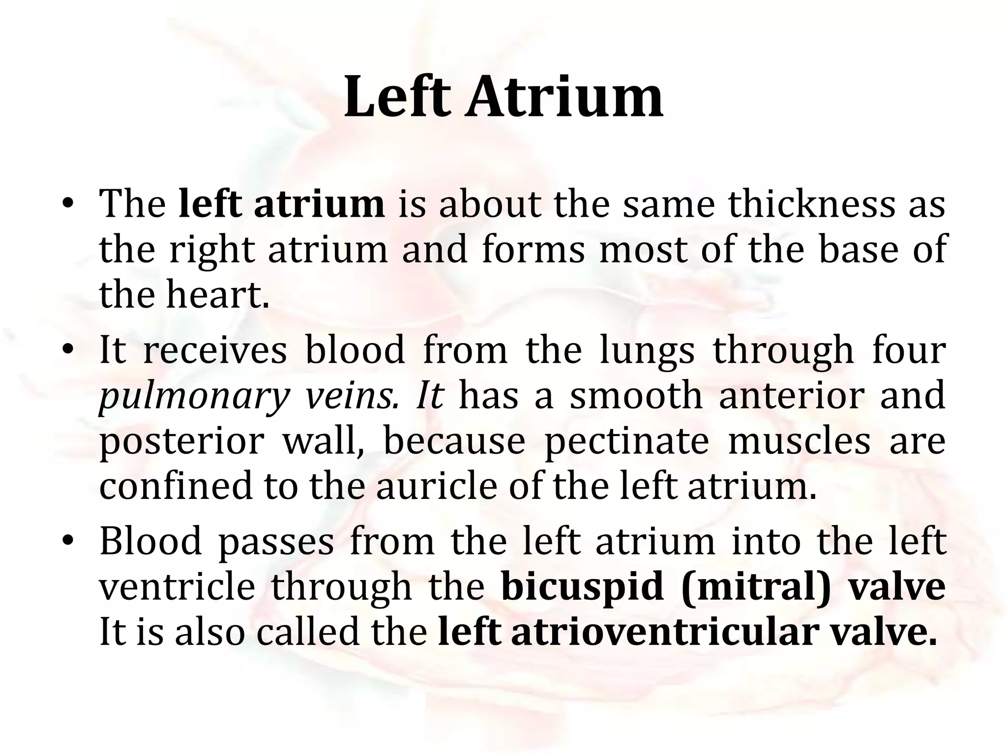 Anatomy of heart | PPSX