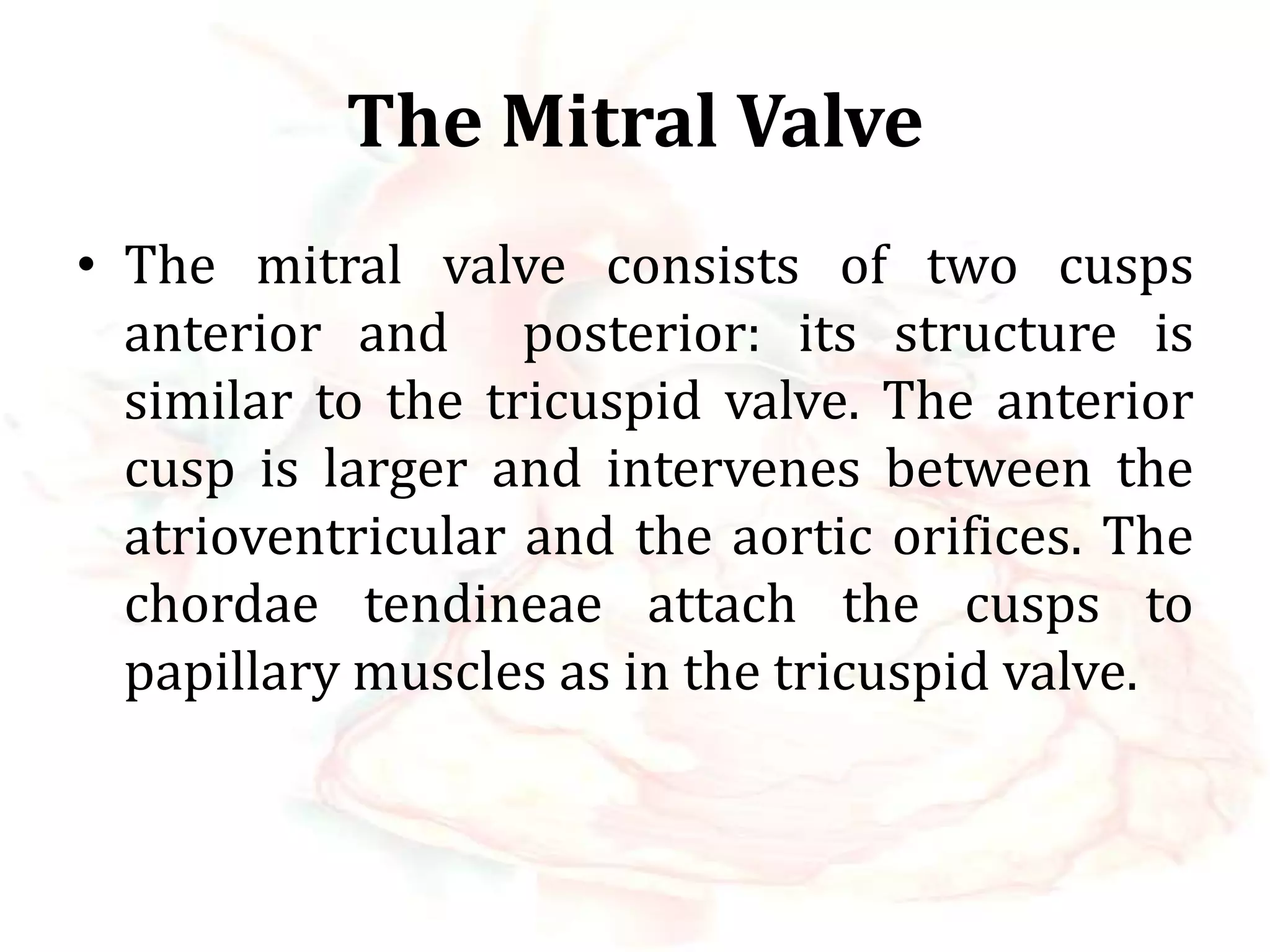 Anatomy of heart | PPSX