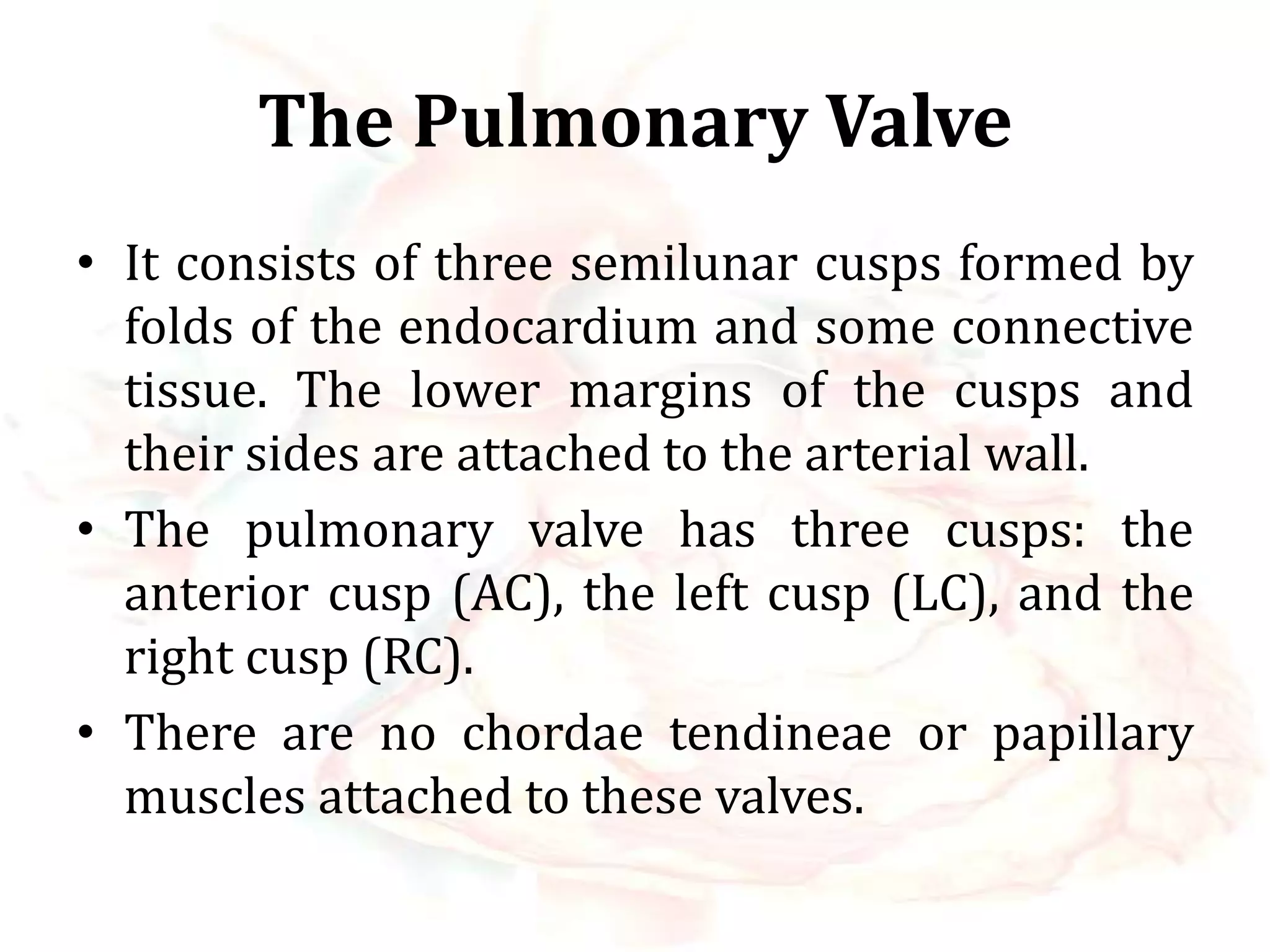 Anatomy of heart | PPSX