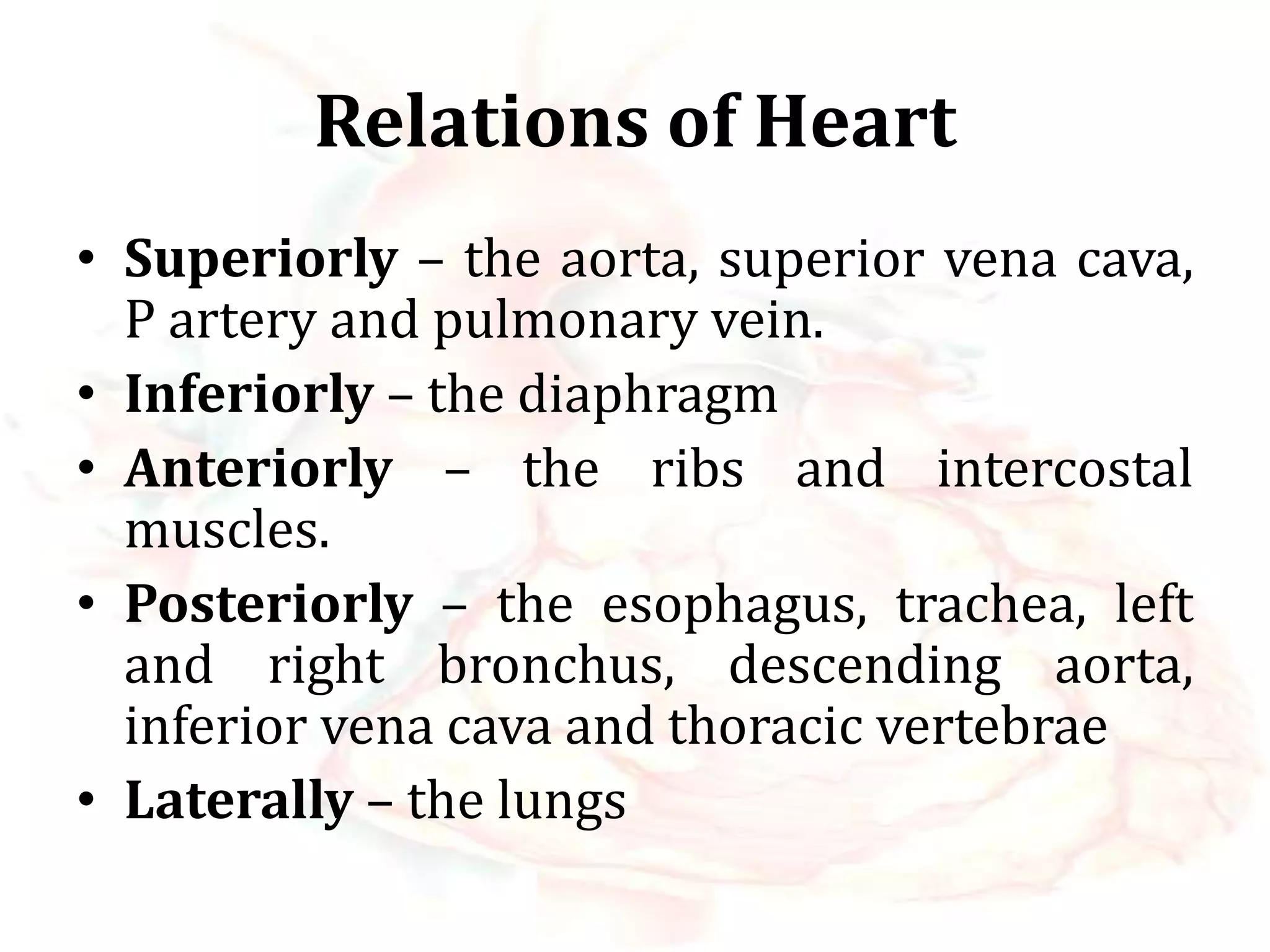 Anatomy of heart | PPSX