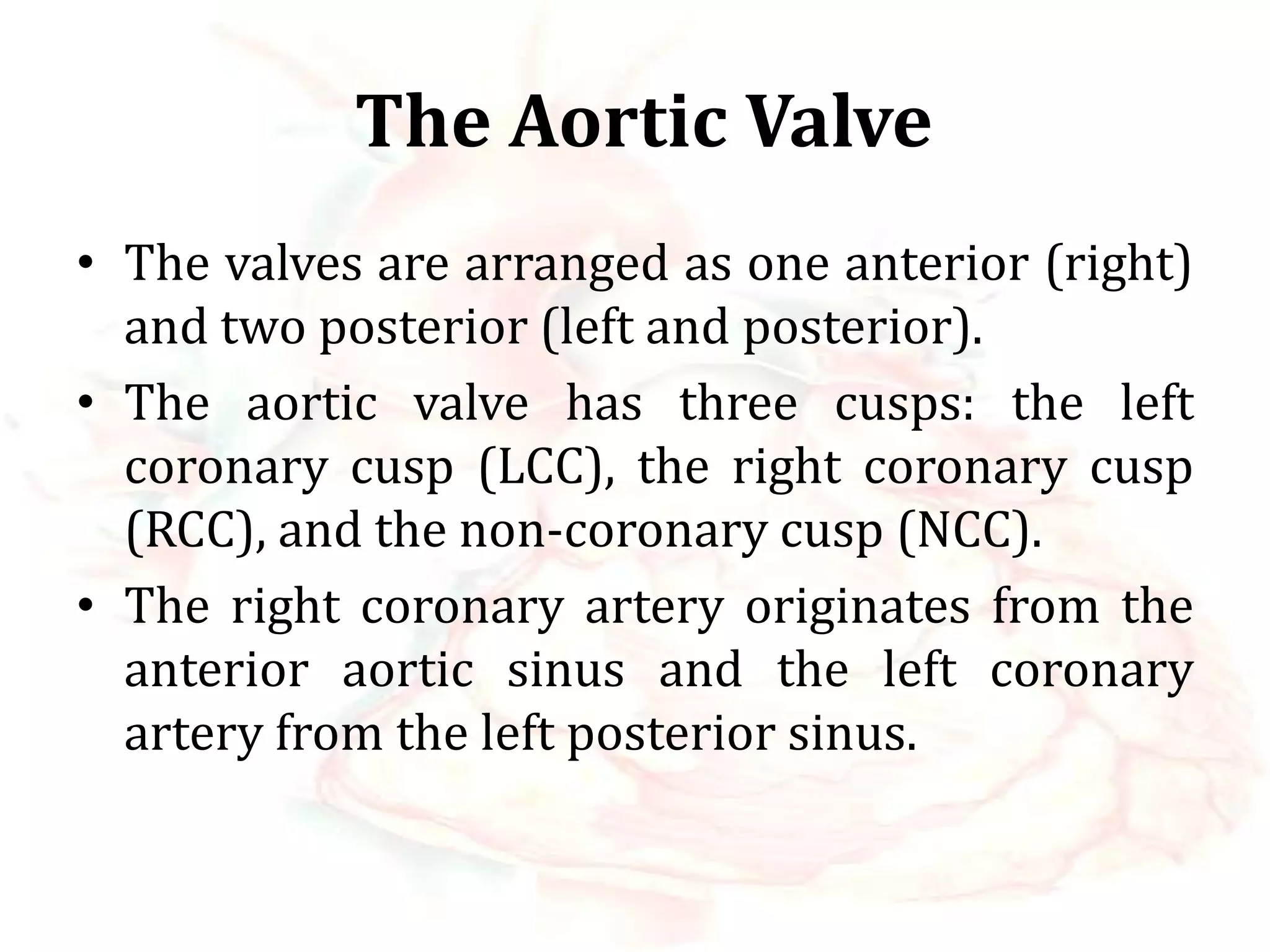 Anatomy of heart | PPSX