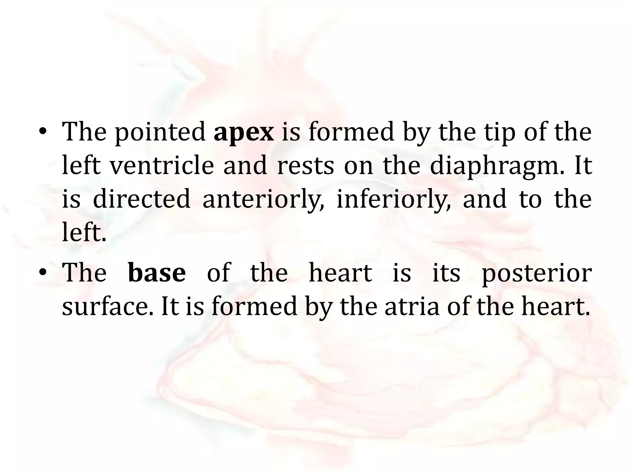 Anatomy of heart | PPSX