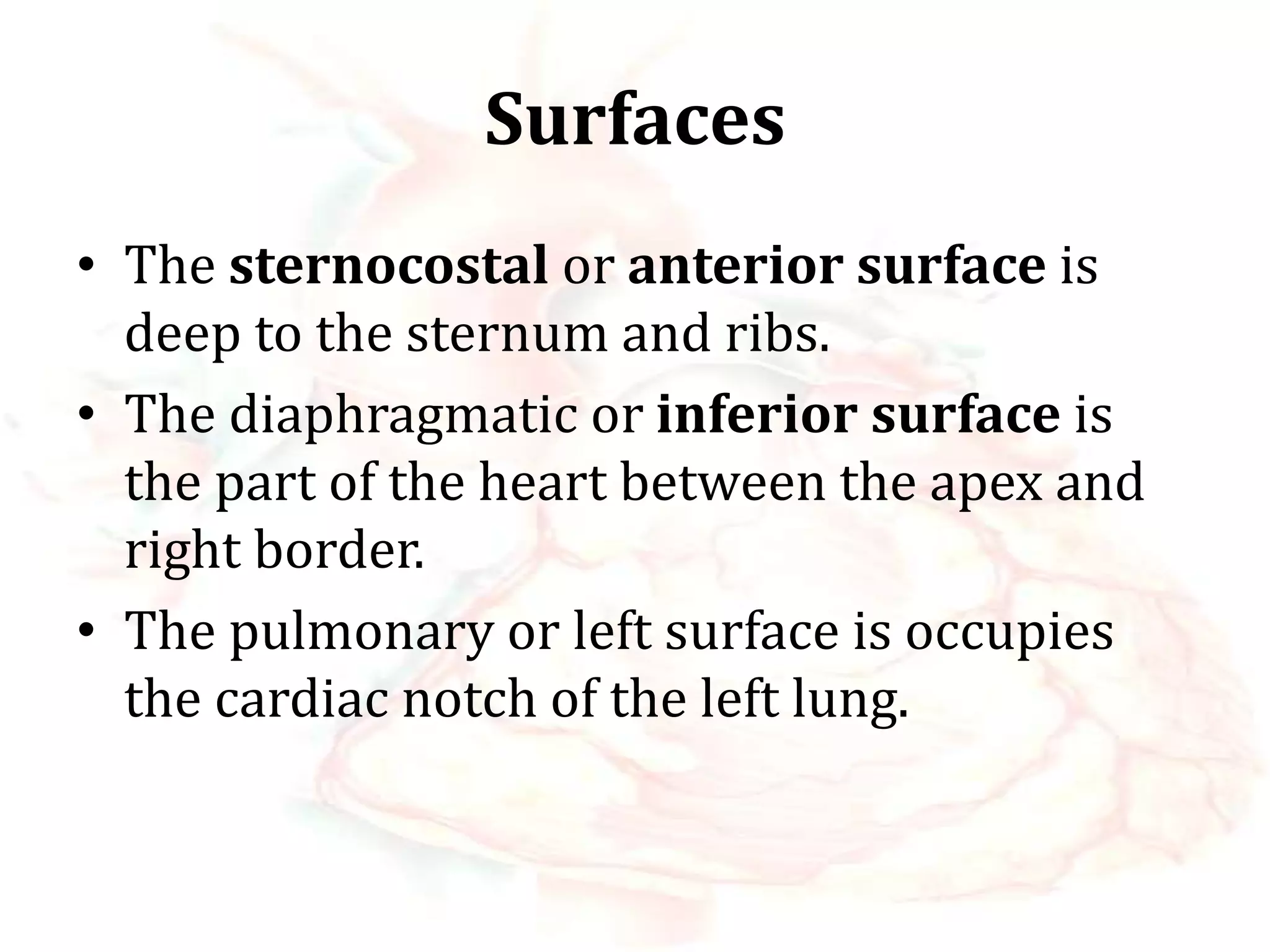 Anatomy of heart | PPSX