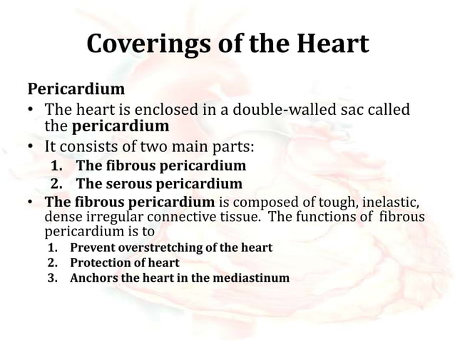 Anatomy of heart | PPSX