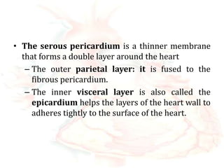 Anatomy of heart | PPSX