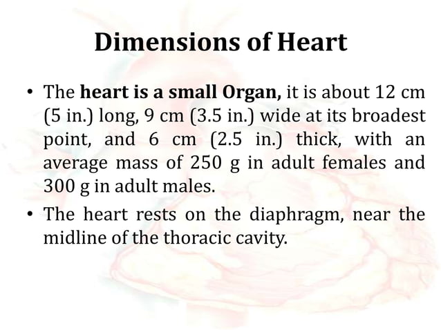Anatomy of heart | PPSX
