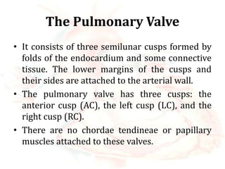 Anatomy of heart | PPSX