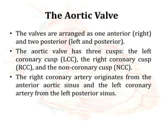 Anatomy of heart | PPSX