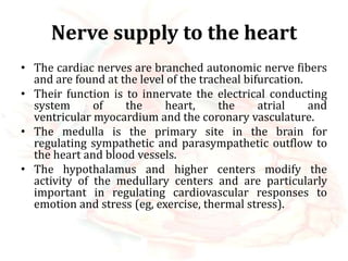Anatomy of heart | PPSX