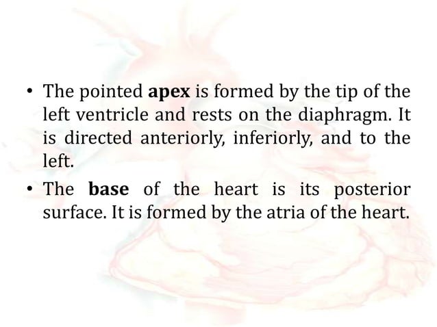 Anatomy of heart | PPSX