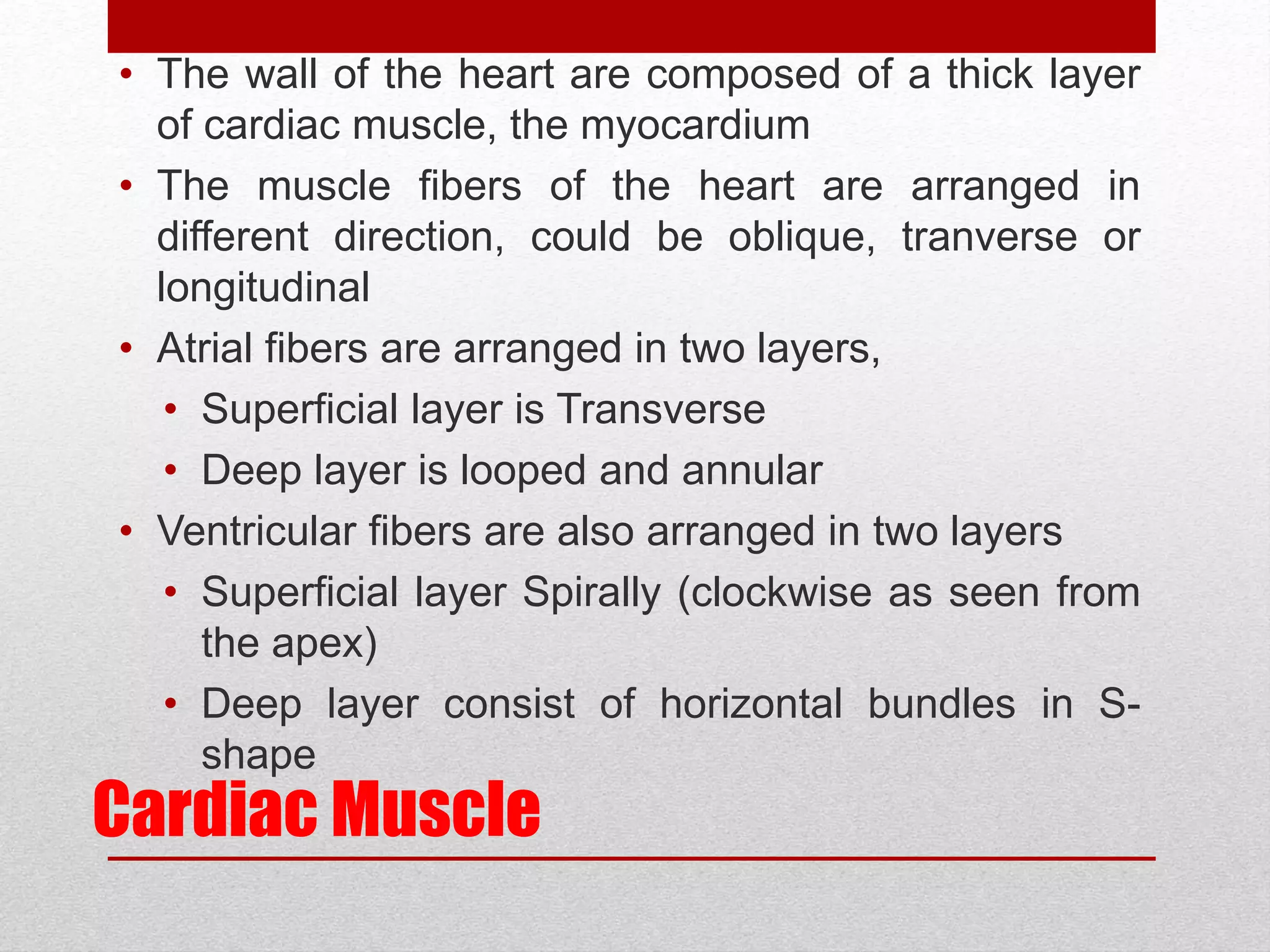 Anatomy of heart | PPTX