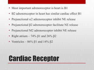 Anatomy of heart | PPTX