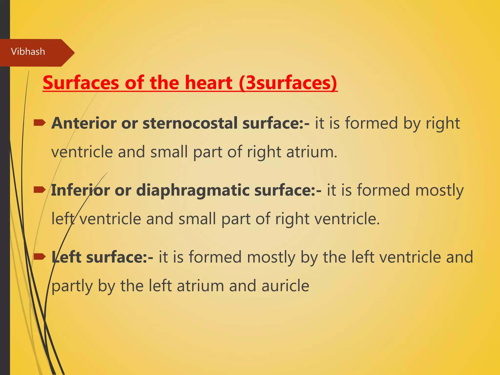 Anatomy of heart | PPTX