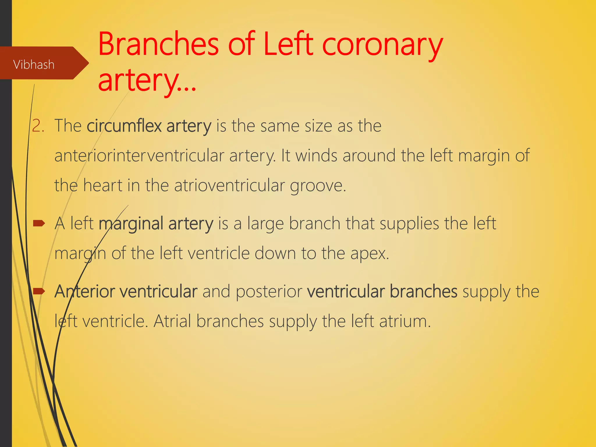 Anatomy of heart | PPTX