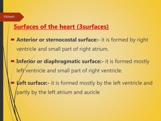 Anatomy of heart | PPTX