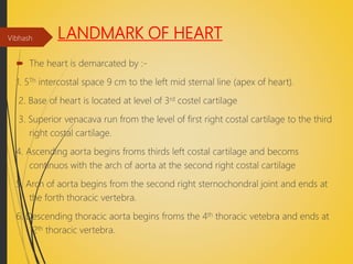 Anatomy of heart | PPTX