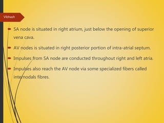 Anatomy of heart | PPTX