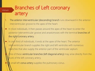 Anatomy of heart | PPTX