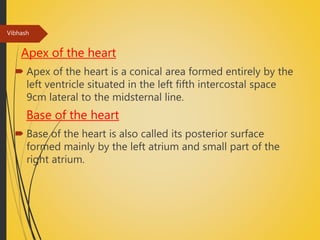 Anatomy of heart | PPTX