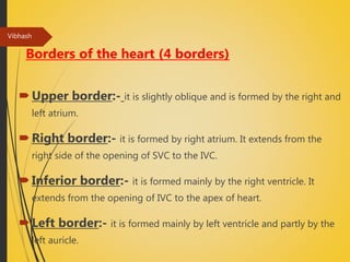 Anatomy of heart | PPTX