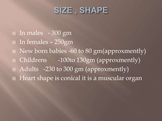 Anatomy of heart | PPT