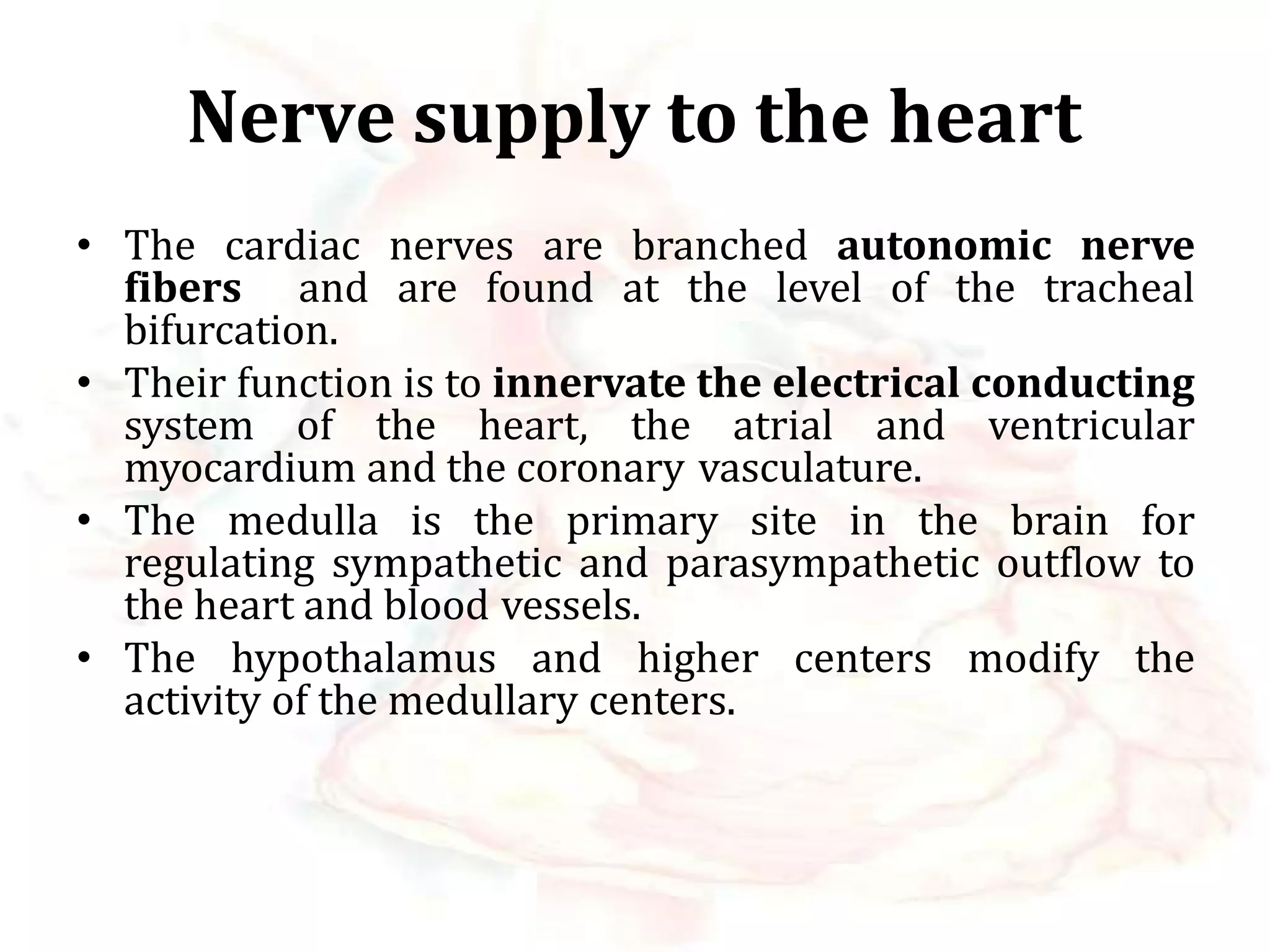 Anatomy of heart | PDF