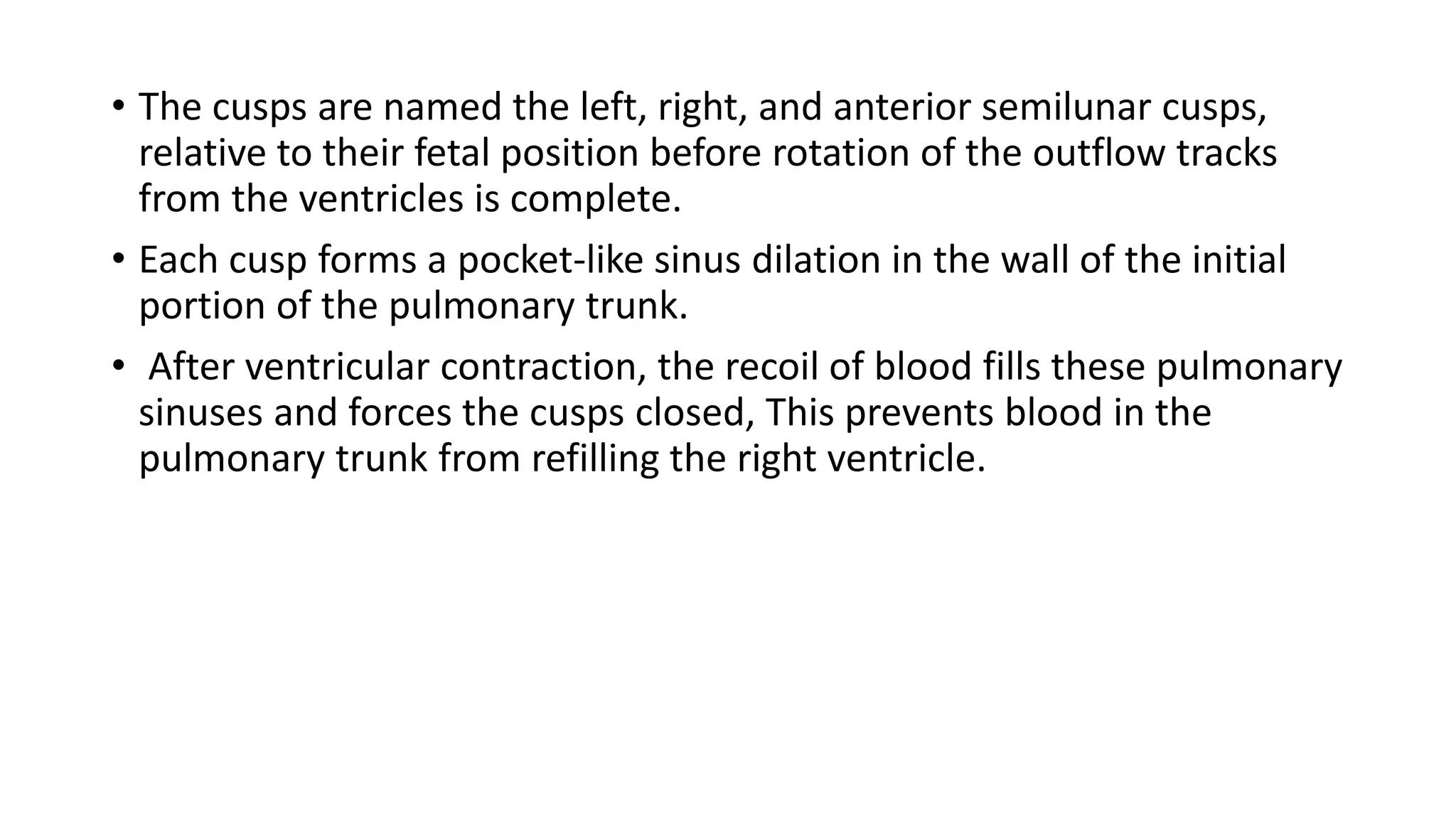 Anatomy of heart | PPTX