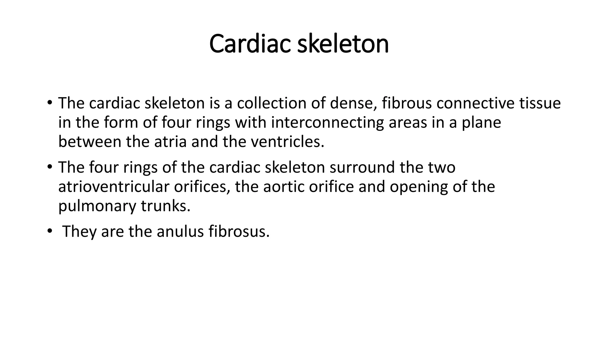 Anatomy of heart | PPTX