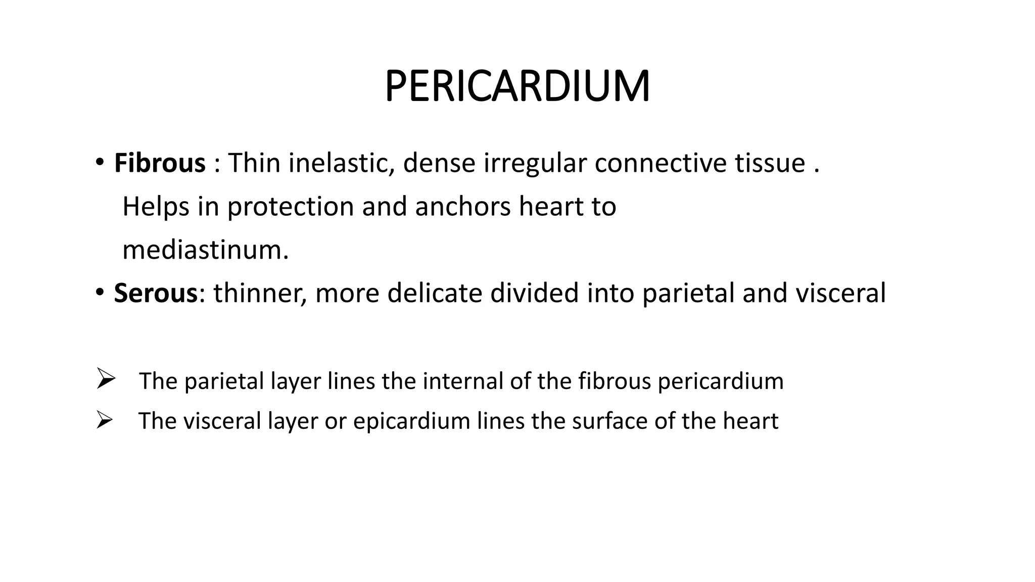 Anatomy of heart | PPTX