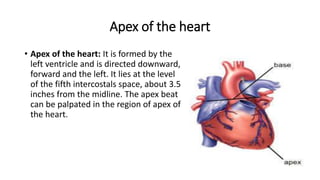 Anatomy of heart | PPTX