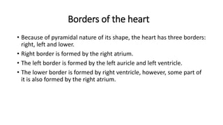 Anatomy of heart | PPTX