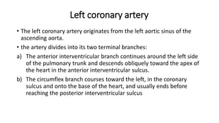 Anatomy of heart | PPTX