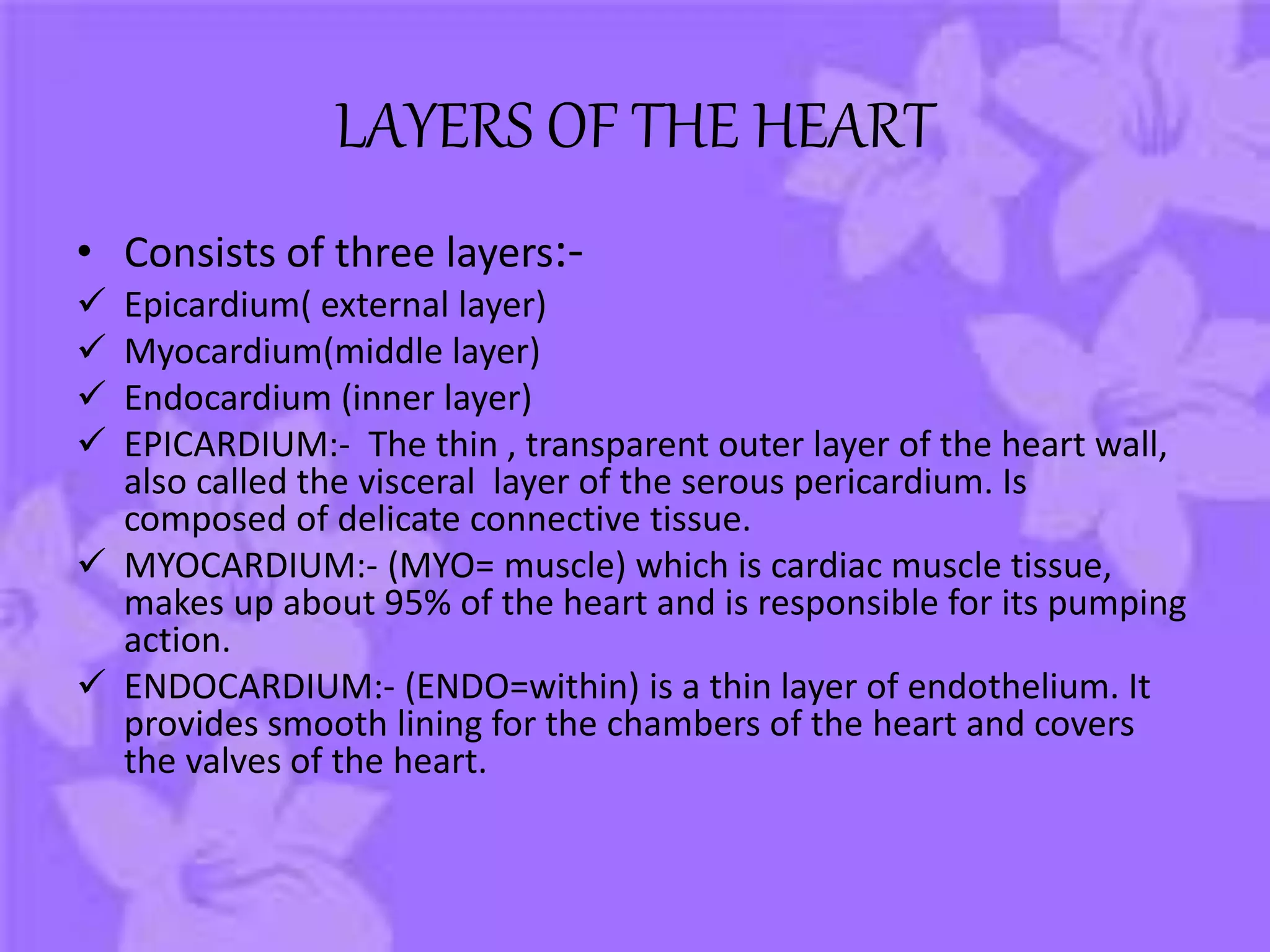 Anatomy of heart | PPTX