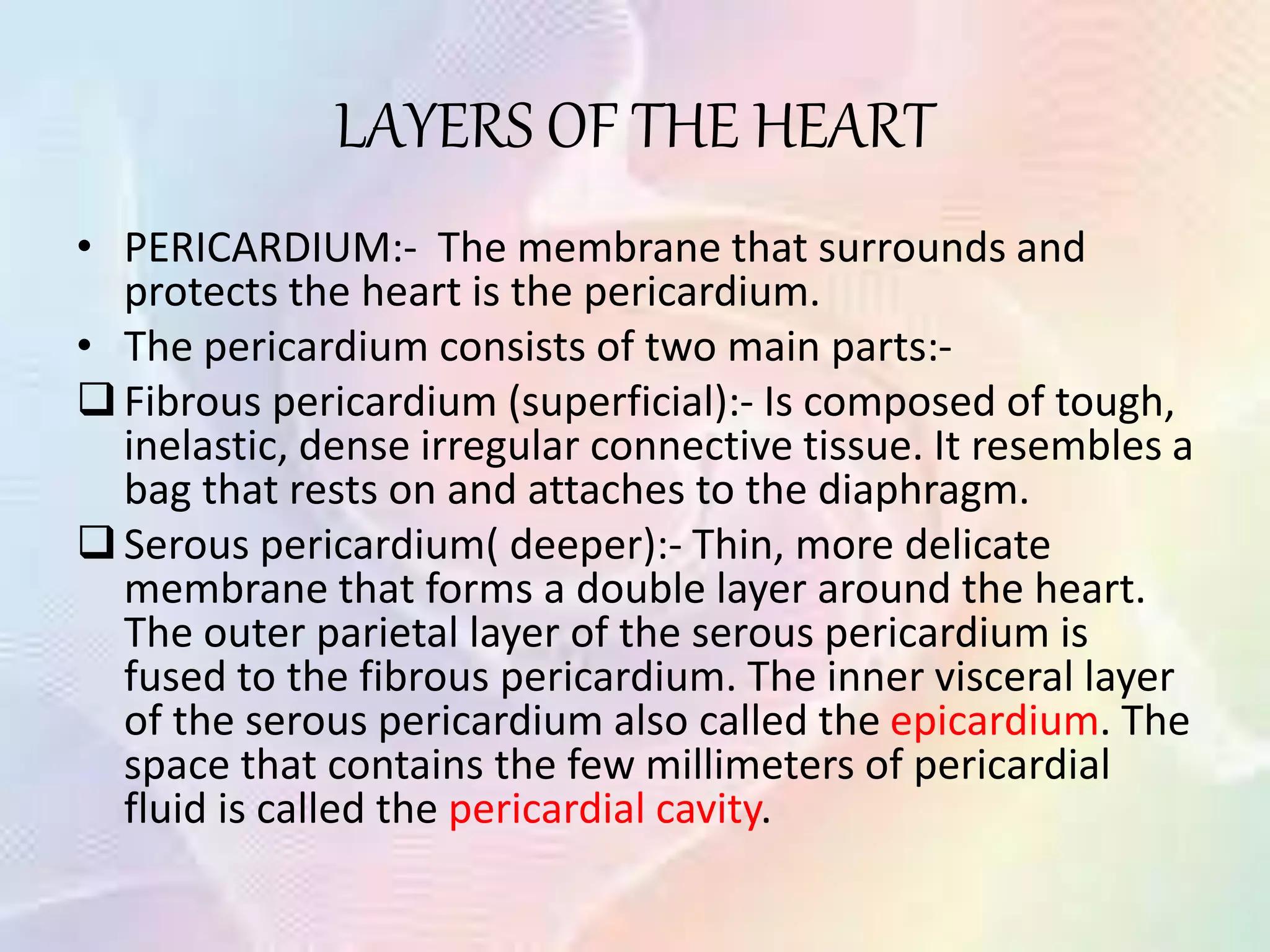Anatomy of heart | PPTX