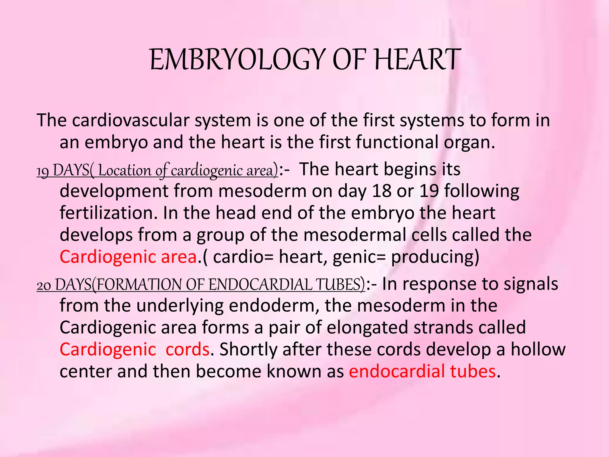 Anatomy of heart | PPTX