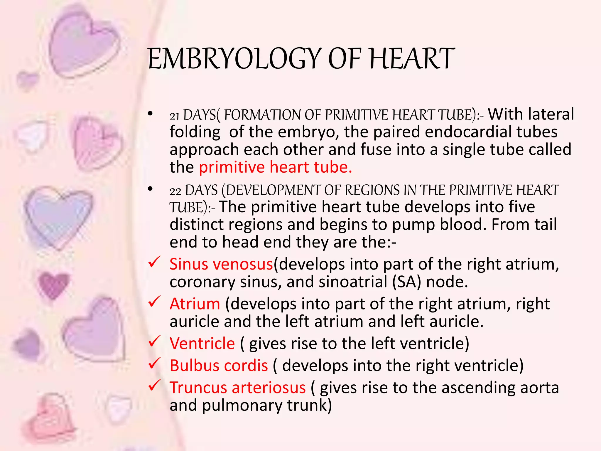 Anatomy of heart | PPTX