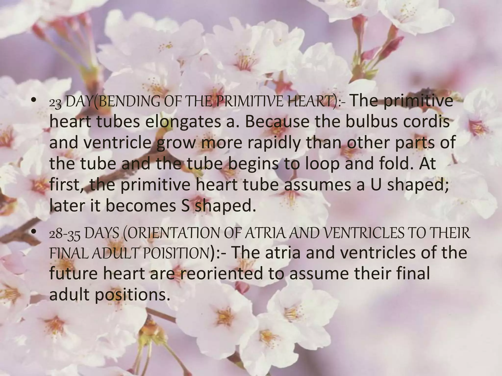 Anatomy of heart | PPTX