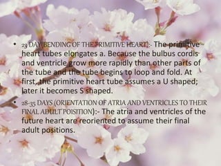 Anatomy of heart | PPTX