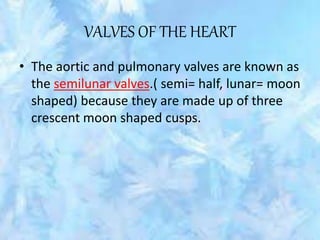 Anatomy of heart | PPTX
