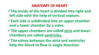 ANATOMY OF HEART.pptx