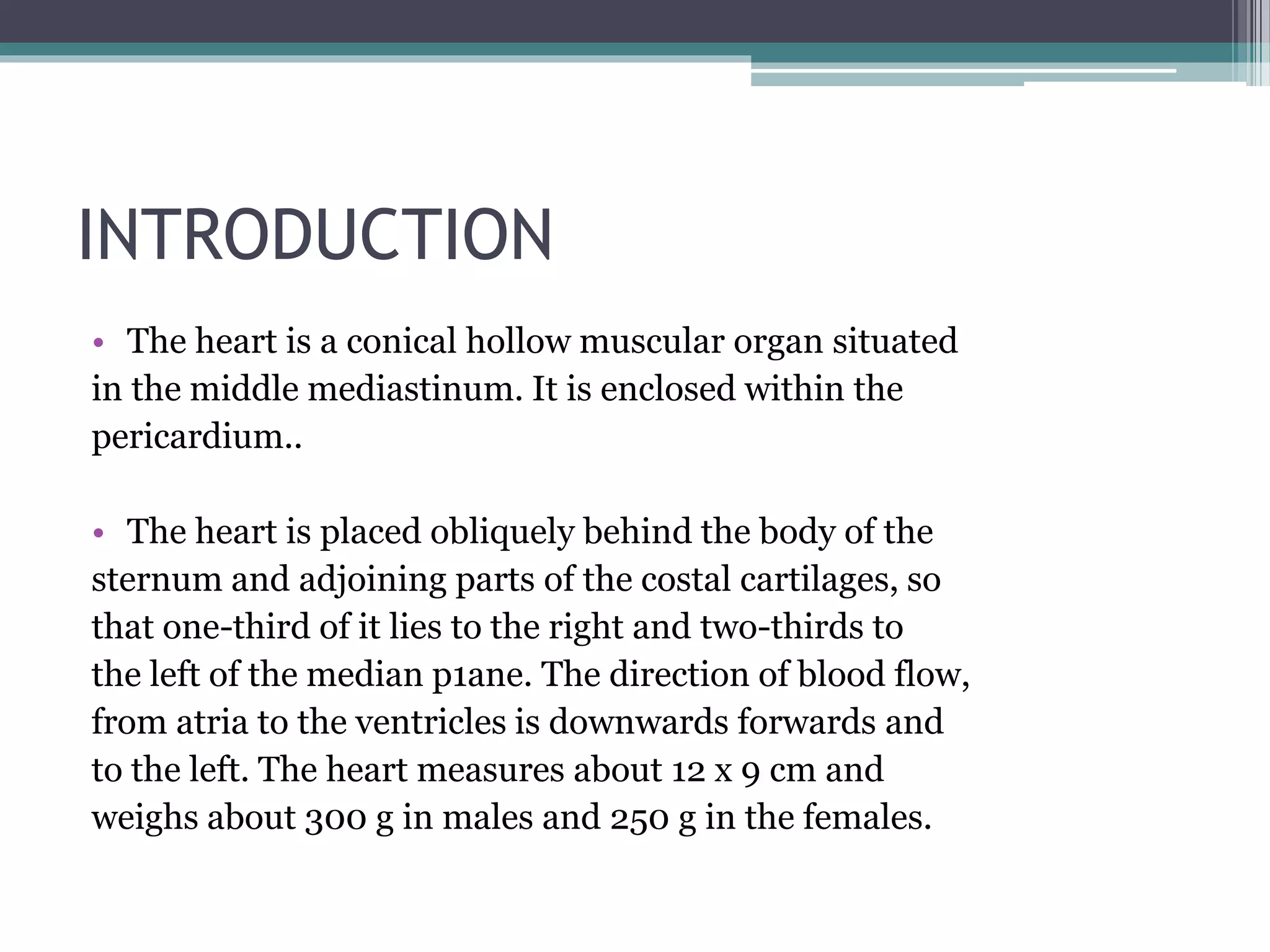 ANATOMY OF HEART.pptx