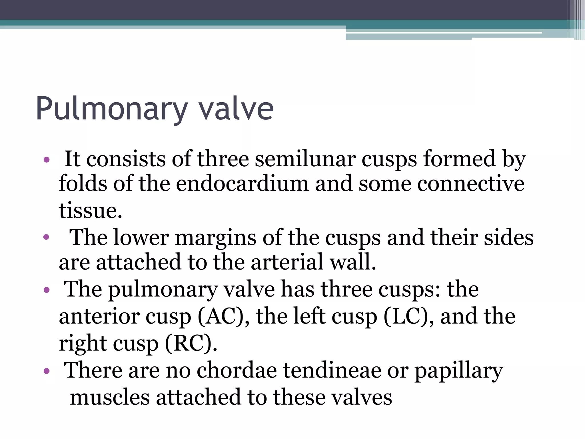 ANATOMY OF HEART.pptx